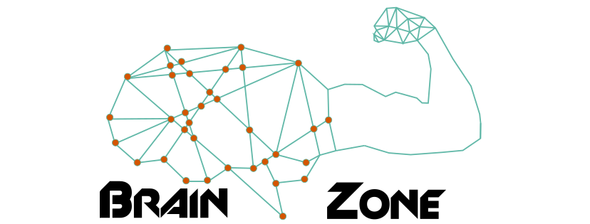 SERVICES – Brain Zone
